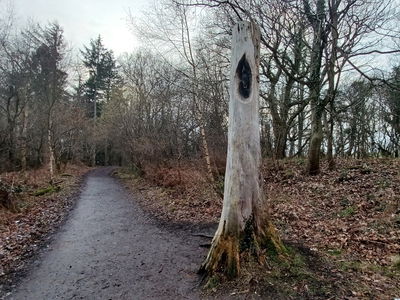 Thornley Woods Sculpture Trail In Rowlands Gill - Fabulous North