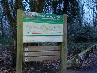 Thornley Woods Sculpture Trail In Rowlands Gill - Fabulous North