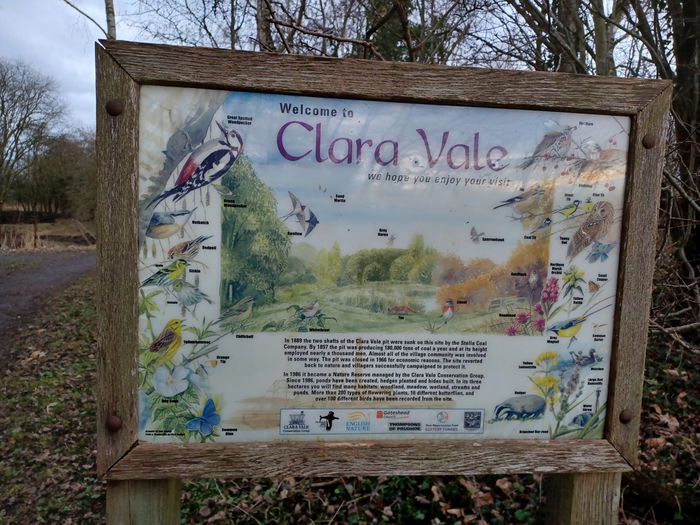 Clara Vale Nature Reserve In Gateshead - Fabulous North