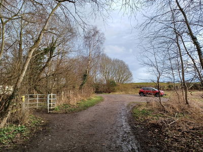 Clara Vale Nature Reserve In Gateshead - Fabulous North