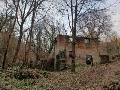 Whittle Mill In Ovingham - Fabulous North