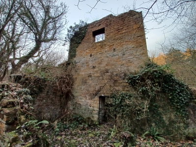 Whittle Mill In Ovingham - Fabulous North