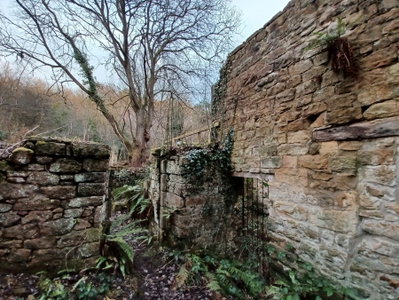 Whittle Mill In Ovingham - Fabulous North