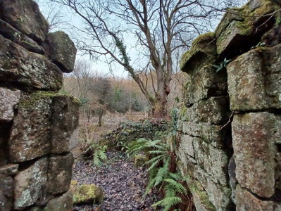 Whittle Mill In Ovingham - Fabulous North