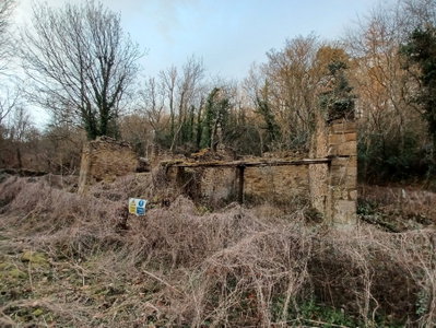 Whittle Mill In Ovingham - Fabulous North