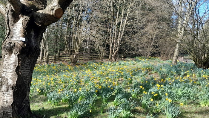 Botanic Gardens, Durham City In Durham - Fabulous North