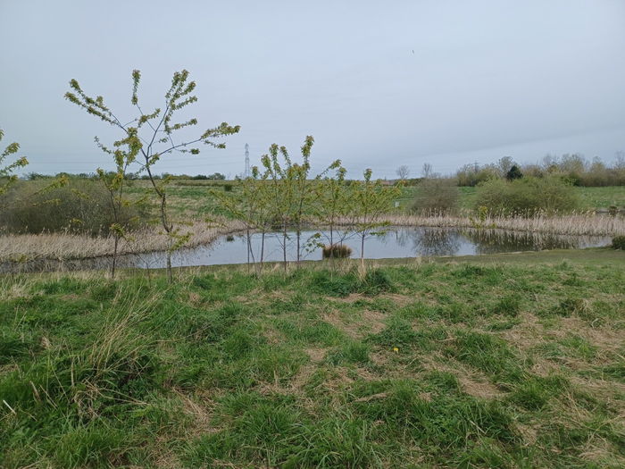 Rising Sun Country Park In Benton - Fabulous North