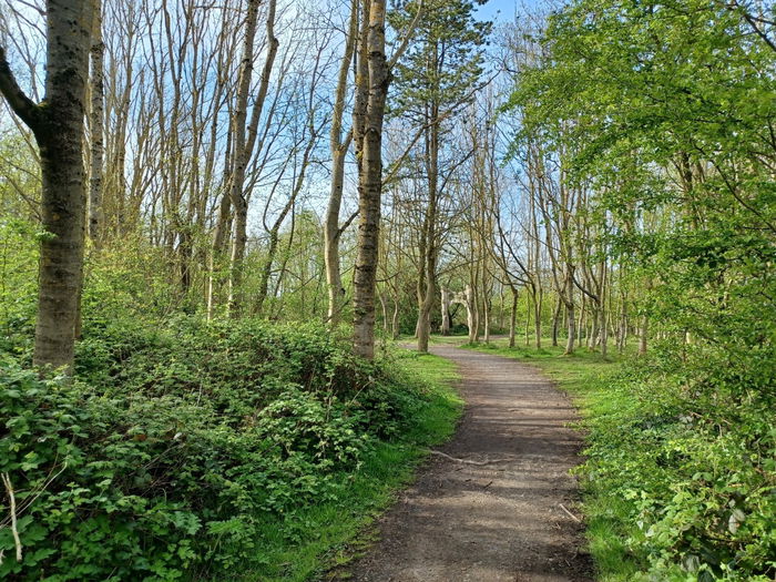 Rising Sun Country Park In Benton - Fabulous North