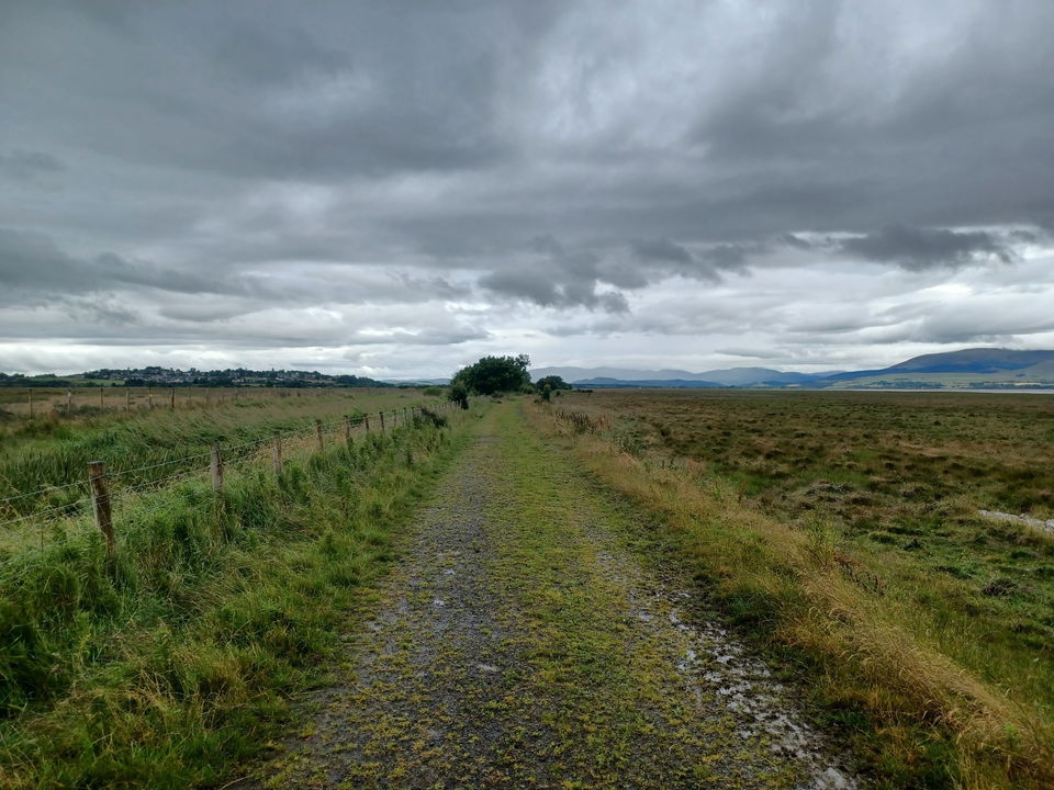 RSPB Crook of Baldoon In Newton Stewart - Fabulous North