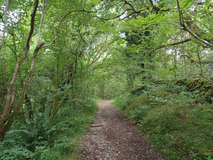 RSPB Wood of Cree In Newton Stewart - Fabulous North