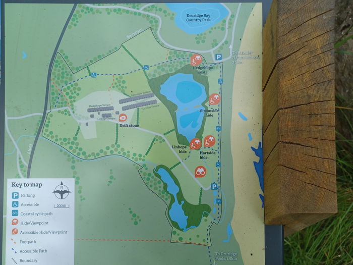 The Drift Stone In Druridge Bay - Fabulous North