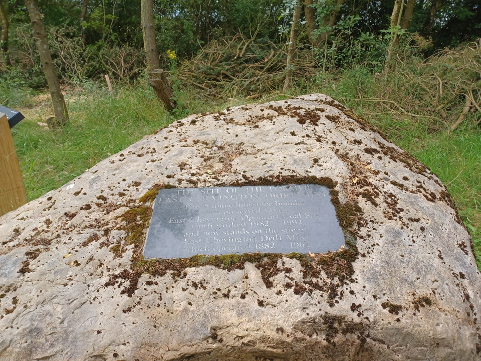 The Drift Stone In Druridge Bay - Fabulous North