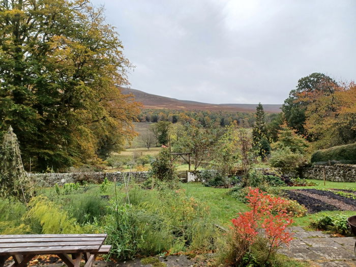 Hepple Wilds In Harbottle - Fabulous North