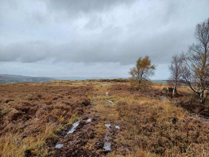 Hepple Wilds In Harbottle - Fabulous North