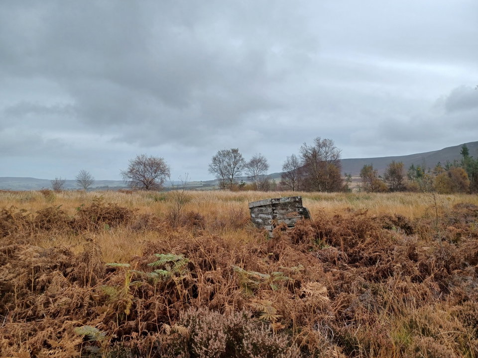 Hepple Wilds In Harbottle - Fabulous North