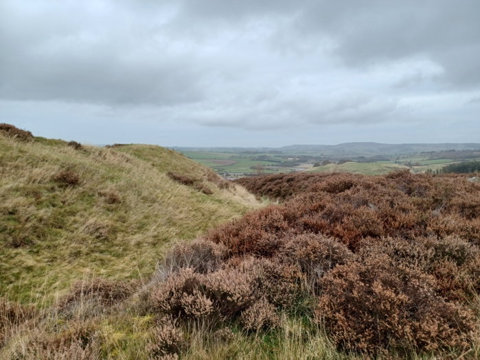 Hepple Wilds In Harbottle - Fabulous North