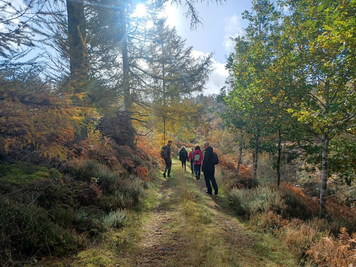 Hepple Wilds In Harbottle - Fabulous North