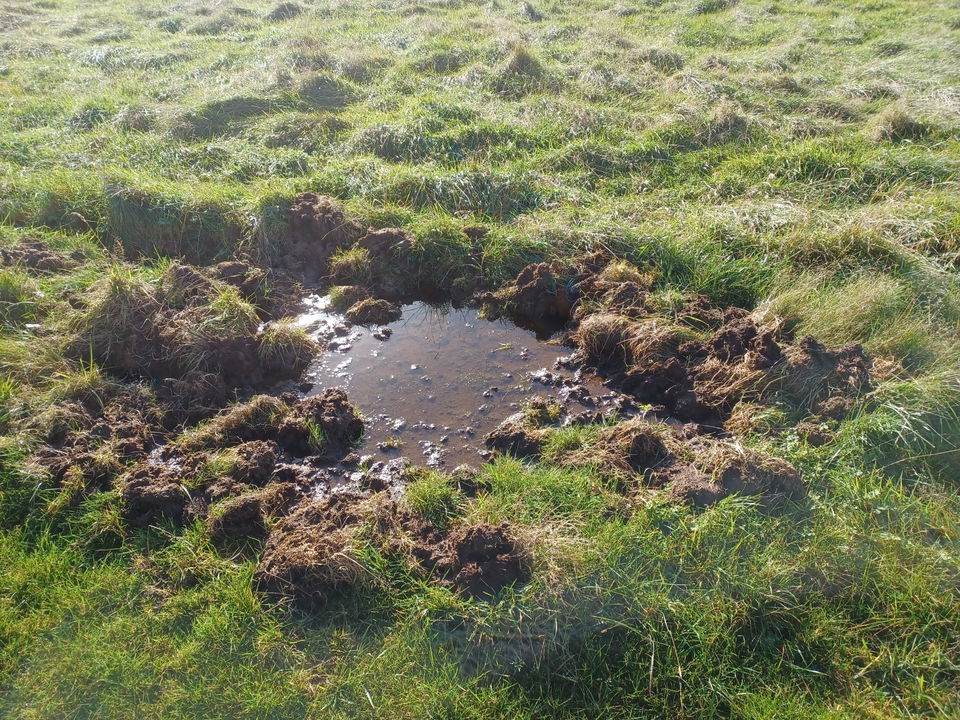 Hepple Wilds In Harbottle - Fabulous North