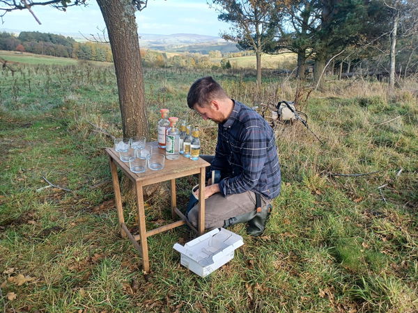 Hepple Wilds In Harbottle - Fabulous North