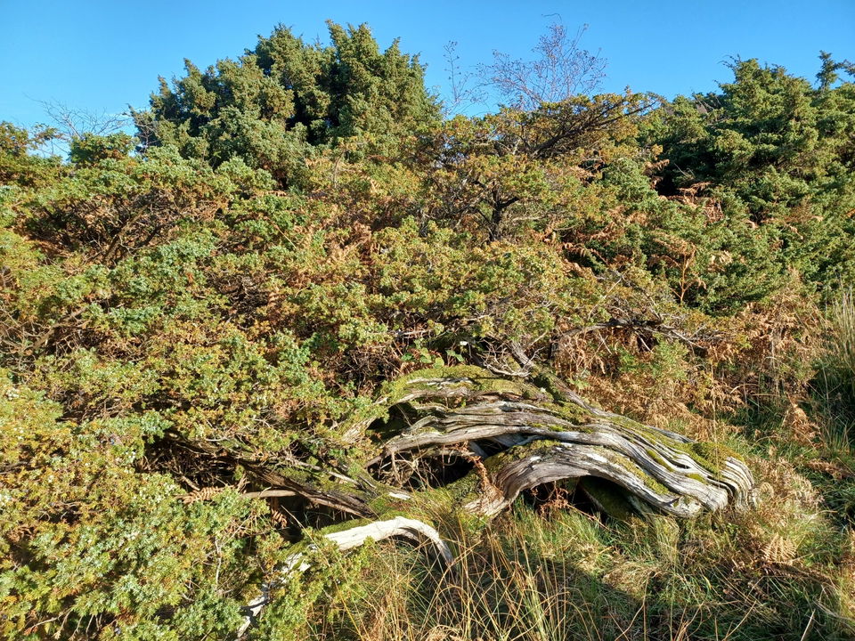 Hepple Wilds In Harbottle - Fabulous North
