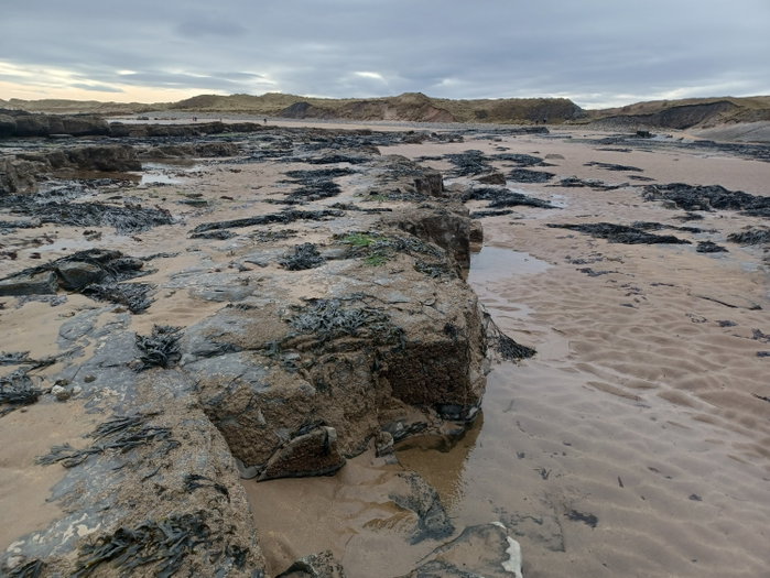 Cheswick Beach In Berwick Upon Tweed - Fabulous North