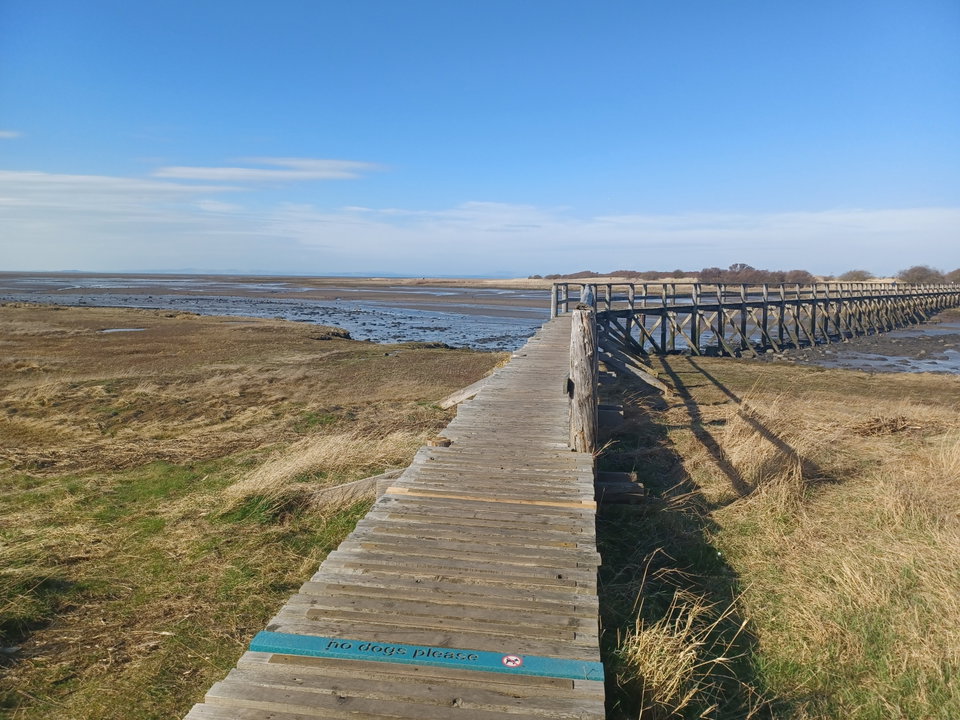 Aberlady Bay Nature Reserve In East Lothian - Fabulous North
