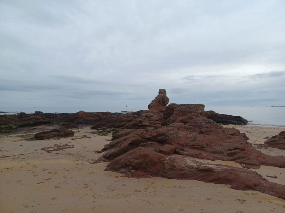 Seacliff Beach and Harbour In East Lothian - Fabulous North