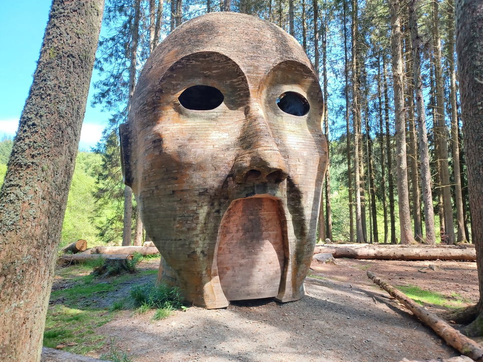 Silvas Capitalis In Kielder - Fabulous North