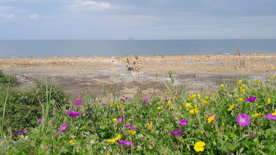 Blackhall Rocks In Hartlepool - Fabulous North