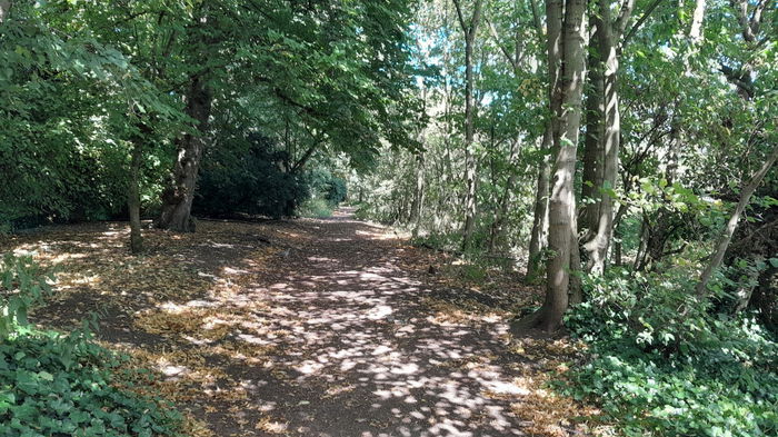 Preston Park Museum And Grounds In Stockton on Tees - Fabulous North