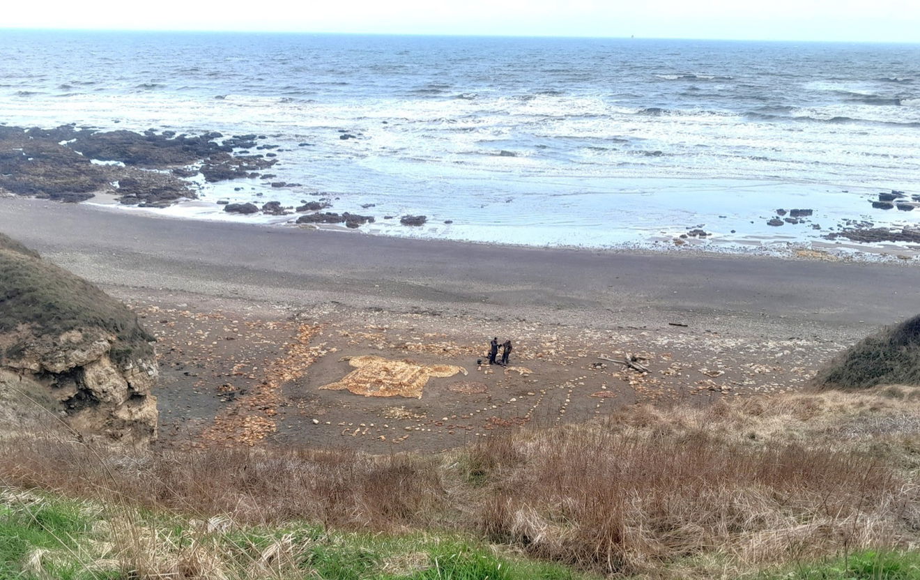 Blackhall Rocks In Hartlepool - Fabulous North