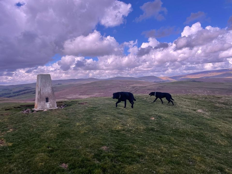Old Fawdon Hill Trig Point In Ingram Valley - Fabulous North