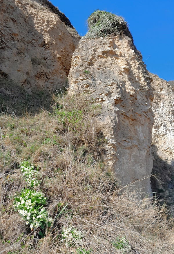 Blast Beach at Nose's Point Seaham - Fabulous North