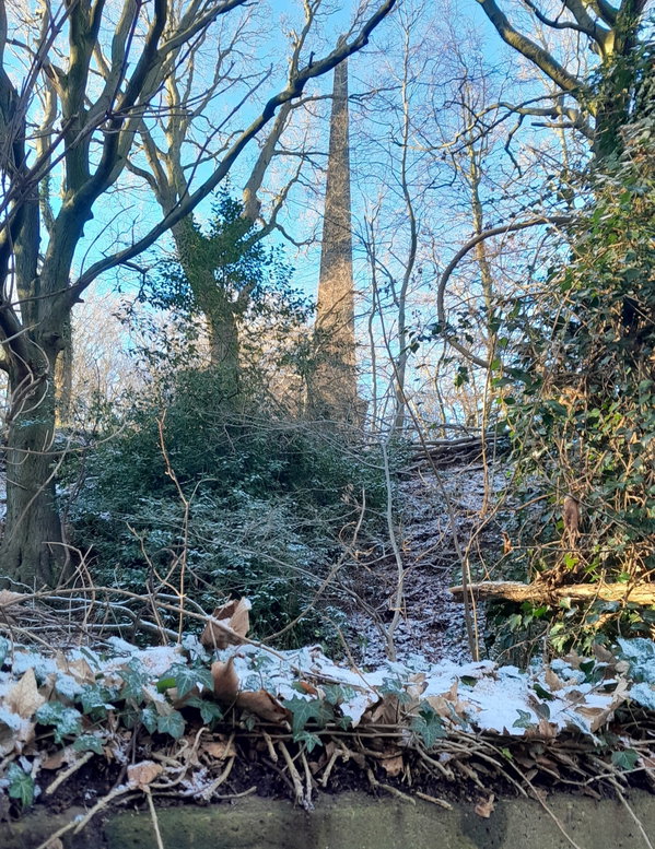 Observatory Obelisk In Durham - Fabulous North