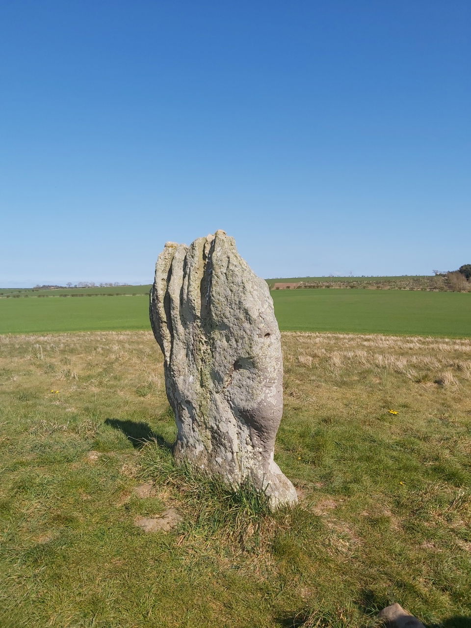 Duddo Stones in Duddo - Fabulous North