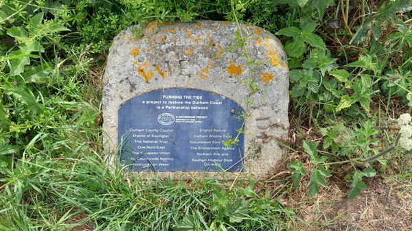 Blackhall Rocks In Hartlepool - Fabulous North