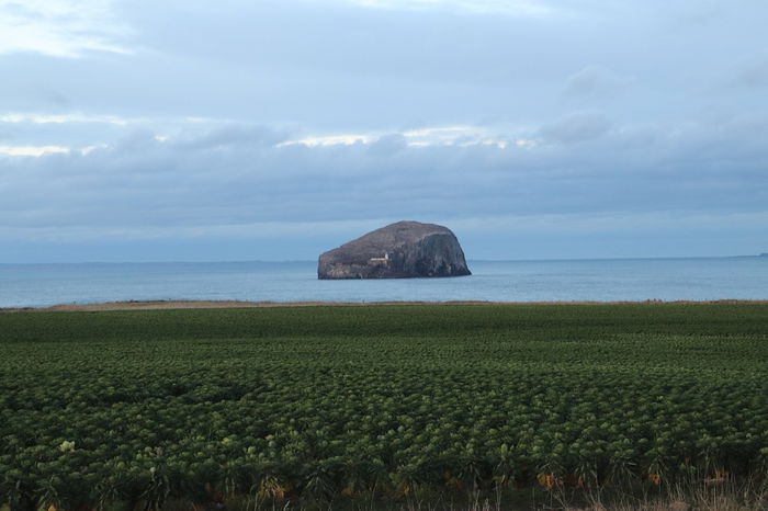 Bass Rock In East Lothian - Fabulous North