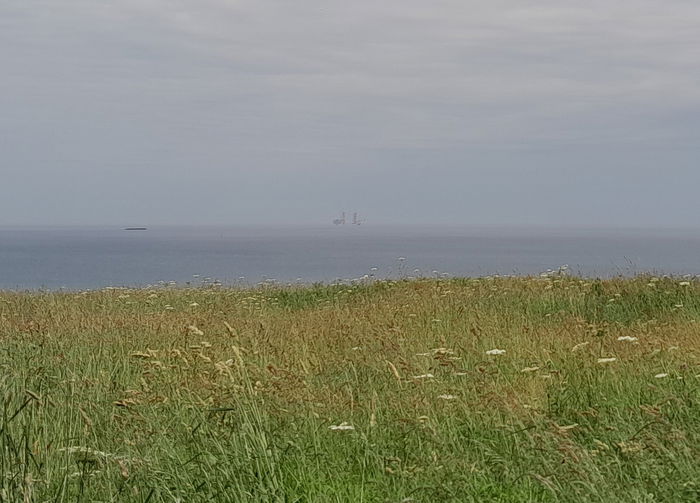 Blackhall Rocks In Hartlepool - Fabulous North