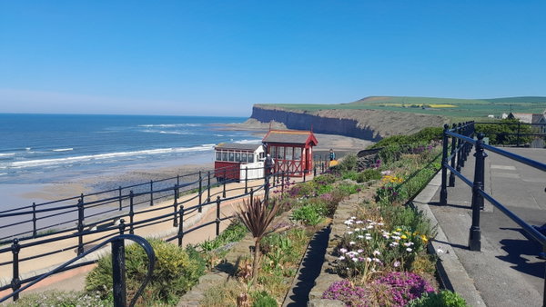 Organism Sculpture In Saltburn - Fabulous North