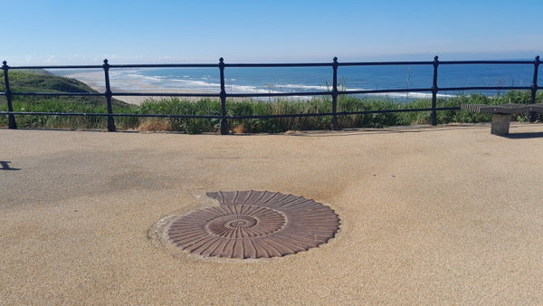 Organism Sculpture In Saltburn - Fabulous North