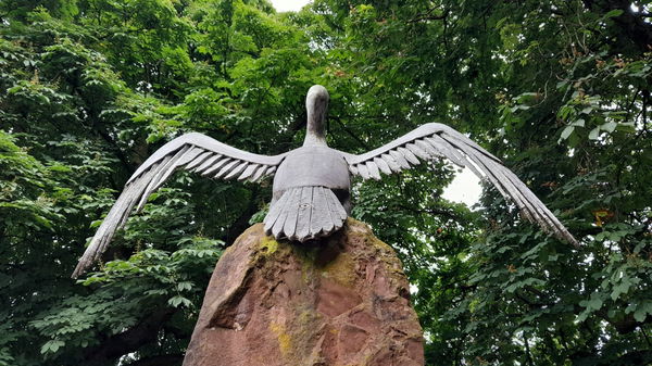 Bitts Park In Carlisle - Fabulous North