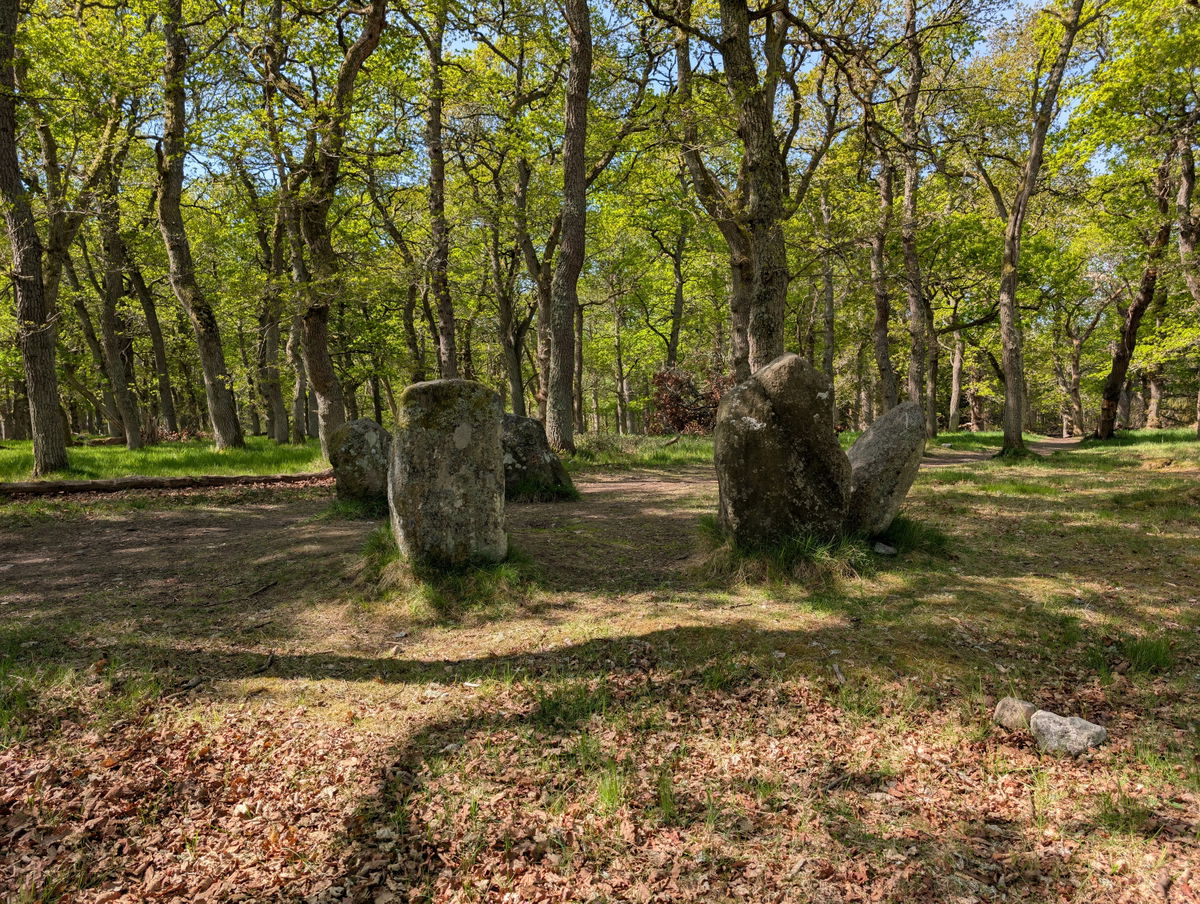 Aboyne Stone Circle In Ballater - Fabulous North