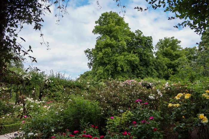 Alnwick Garden In Northumberland - Fabulous North