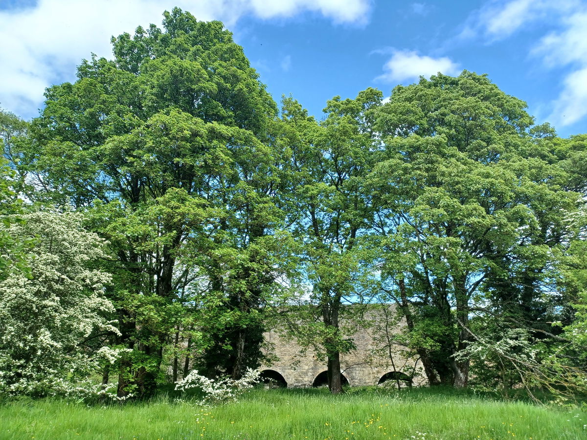 Bishopley Lime Kilns In Frosterley - Fabulous North