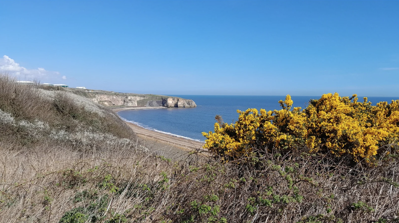 Blast Beach at Nose's Point Seaham - Fabulous North