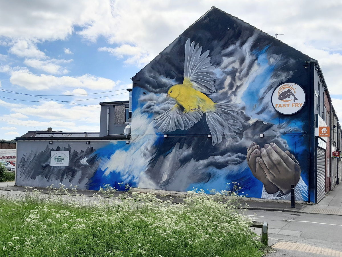 Canary Mural Wheatley Hill In Peterlee - Fabulous North