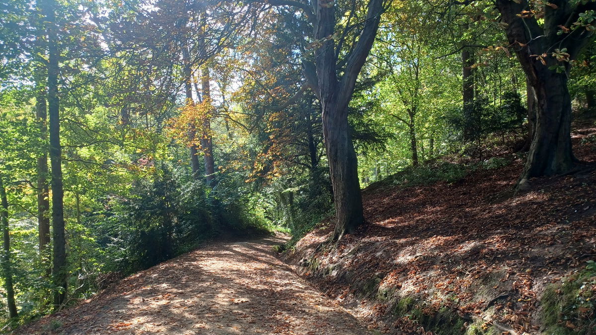 Castle Eden Dene in Peterlee - Fabulous North