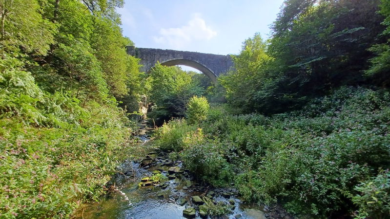 Causey Arch in Stanley - Fabulous North