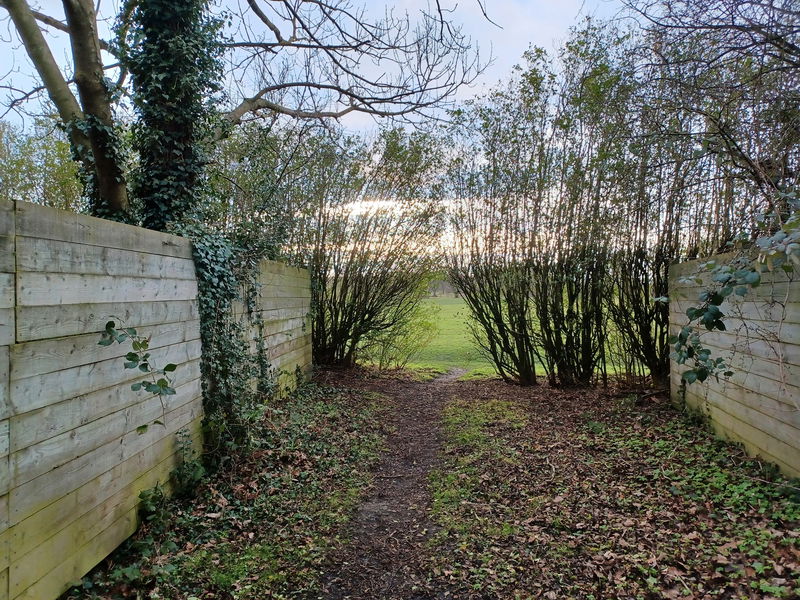 Clara Vale Nature Reserve In Gateshead - Fabulous North