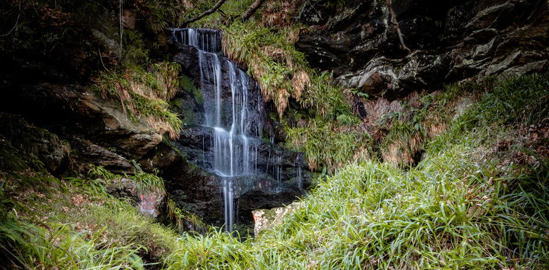 Corby's Letch in Alnwick - Fabulous North